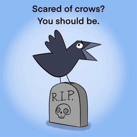 Ever Wonder About Crows Ever Wonder Exploding Kittens Blog