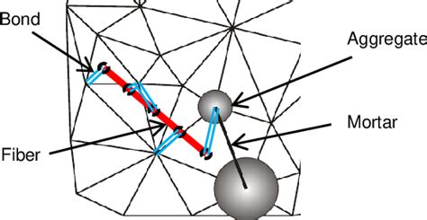 Figure 1 From A Lattice Particle Approach For The Simulation Of