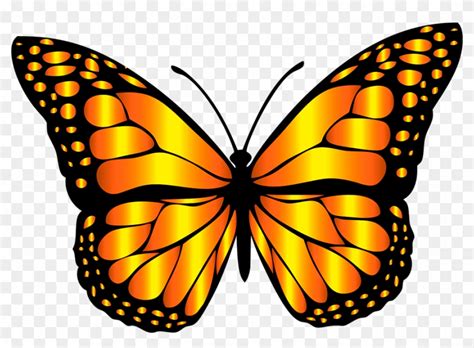 Mariposas Toda La Informaci N Sobre Las Mariposas House Butterfly