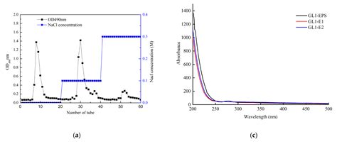 Characterization And Immunological Activity Of Exopolysaccharide From Lacticaseibacillus