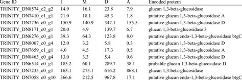 Gene Id Of Glucanase Related Genes Detected In The Four Stages Of Download Scientific Diagram
