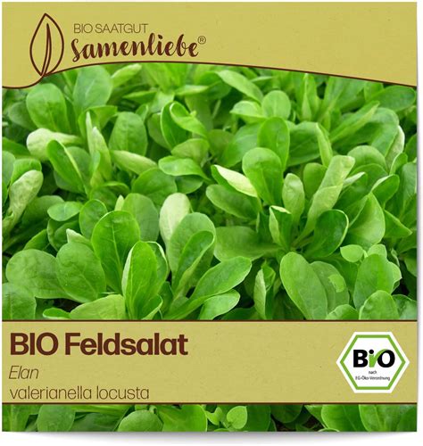Samenliebe Bio Feldsalat Samen Alte Sorte Elan Nussiger Winterfeldsalat Kompakter Salat Gr N