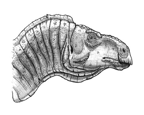 Iguanodon Bernissartensis By Nwfonseca On DeviantArt