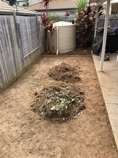 Turf Laying And Preparation Brisbane Lawnjet Lawn Mowing