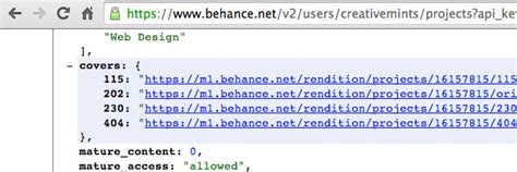 How To Use The Behance API To Build A Custom Portfolio Web Page