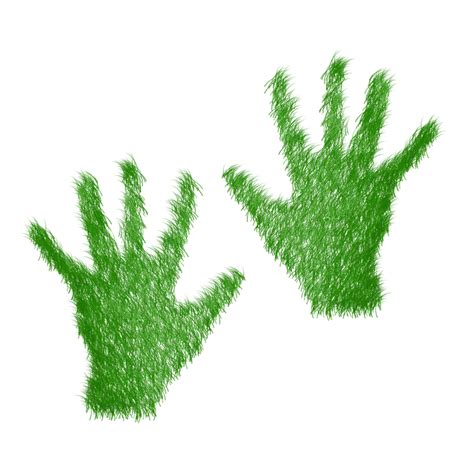Download Green Grass Lawn Royalty Free Stock Illustration Image