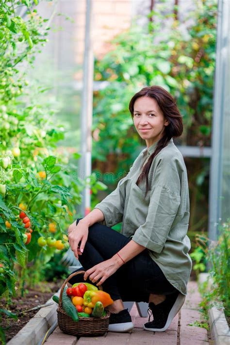 Молодая женщина с корзиной растительности и овощей в парнике время хлебоуборки к Стоковое Фото