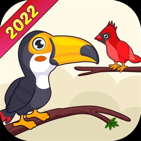 Bird Sort Puzzle Game By Savitaben Bhalodiya