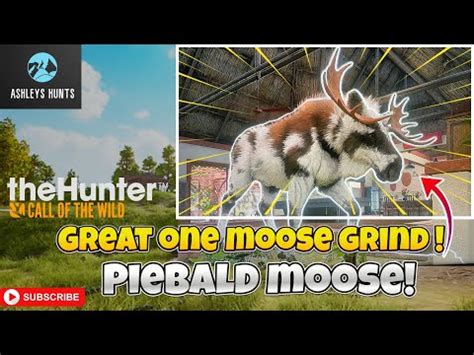 Moose Grind In Revontuli Coast The Hunter Call Of The Wild YouTube