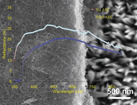 Antireflective Photoanode Made Of Tio2 Nanobelts And A Zno Nanowire Array The Journal Of