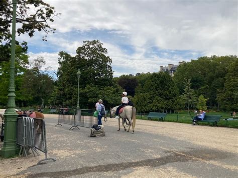 パリ最新情報「パリ市、公園でのポニー乗馬に終止符を打つ。2025年から」 Design Stories