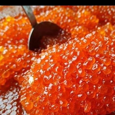 Риба морепродукти