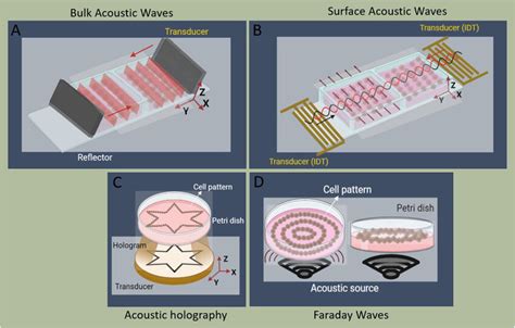 Schematic Of Cell Patterning Modes Including A Bulk Acoustic Waves