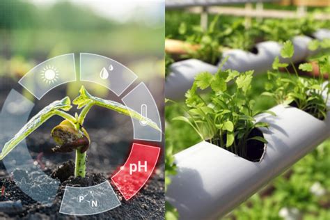 Regularly Check Ph Levels Hydroponic Gardening Sino Measure