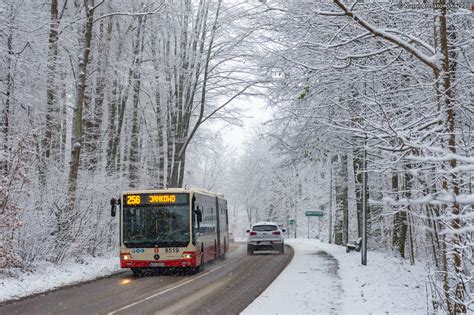 Gdańsk Mercedes Benz Conecto II G 8519 Photo BUSPHOTO