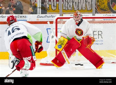 16092025 Langnau Emmental Versicherung Arena Nl Scl Tigers Zsc