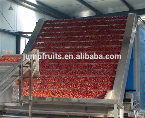 China High Efficient Dates Syrup Production Line Jujube Syrup Making Machine Factory And