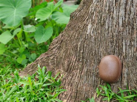 Environment Management Styl Solutions