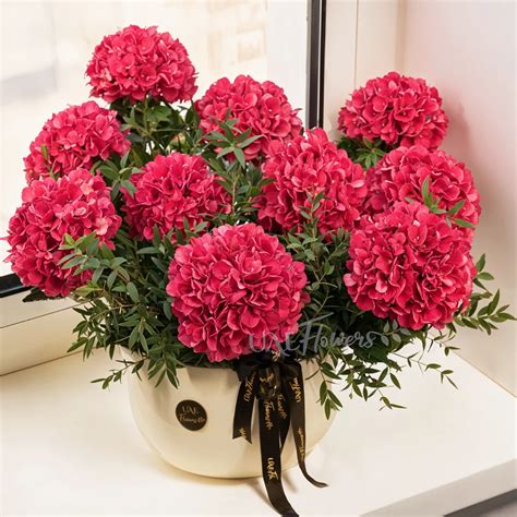 Red Hydrangea In Ceramic Vase By Uae Flowers