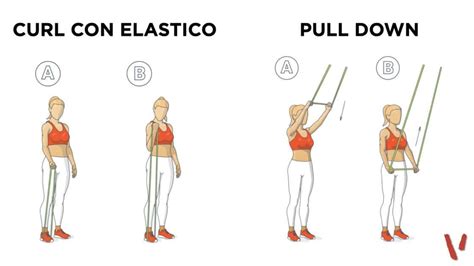 Allenamento Elastici Esercizi Benefici Scheda Project InVictus