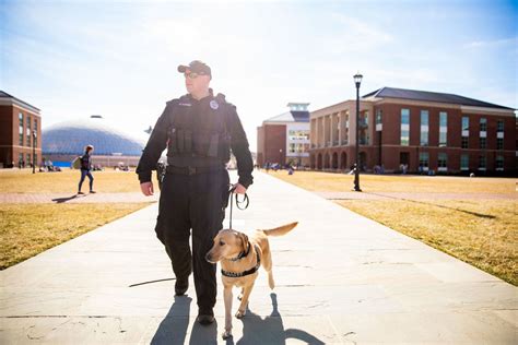 Bs In Criminal Justice Crime Scene Investigation Liberty University