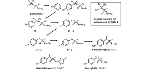 Evolution Of Sulfoximine Analogs Leading To Sulfoxaflor Structures Of