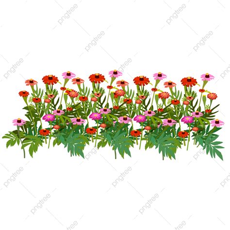 Dibujos Animados Originales Png Flores Silvestres Original Planta