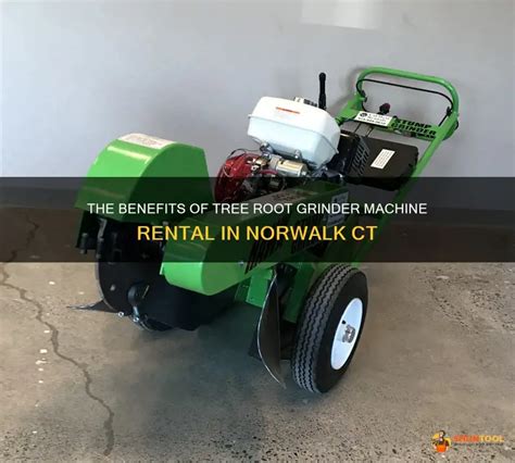 The Benefits Of Tree Root Grinder Machine Rental In Norwalk Ct Shuntool