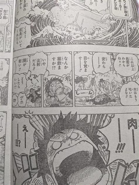 ルフィ復活！？カイドウの弱点は火？｜onepiece第1019話考察 【ワンピース考察】甲塚誓ノ介のいい芝居してますね！