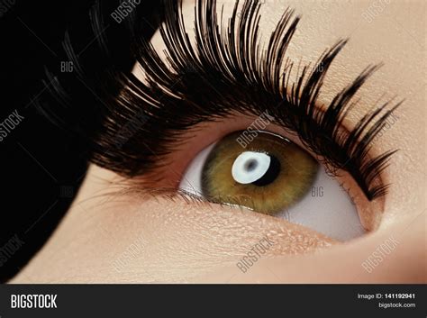 Beautiful Macro Shot Image And Photo Free Trial Bigstock