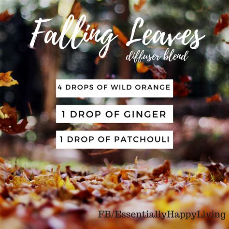 Essentially Happy Living Best Holiday Diffuser Blends