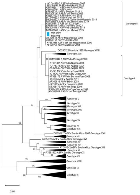 Comparison Of The Whole Genome Sequence Of The African Swine Fever