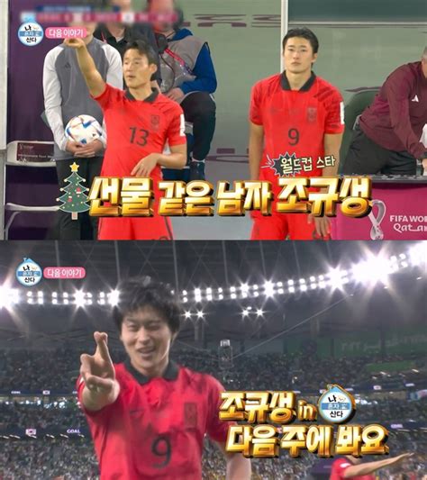 조규성 나혼자산다 뜬다시청자 소원 성취 Jtbc 뉴스