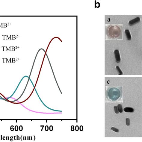 Gnrs Etching Process Under Different Concentrations Of Tmb²⁺a Uv Vis