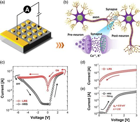 Scientists Design Artificial Synapses For Computing Thats Closer To