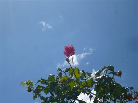 Lumix Ls70 Rdigicamrevival