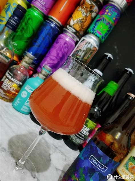拒绝俗套，5款小众精酿啤酒评价合集