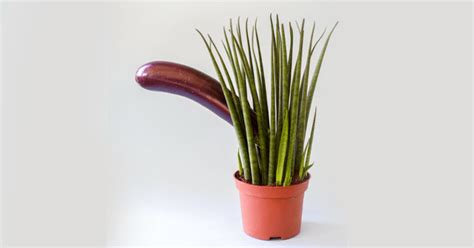 Best Couples Sex Therapy Online Couples Sex Counseling Coach Review