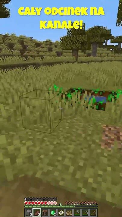 MogŁem Tego Nie RobiĆ W Minecraft Shorts Youtube