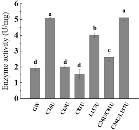 Comparison Of Enzyme Activities Of Wild Type Gpx And Mutants All