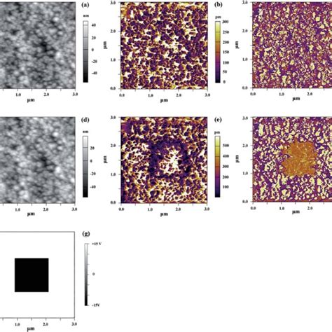 Simultaneously Obtained A Surface Topography B Pfm Amplitude And