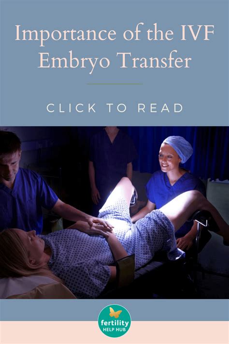 The Importance Of The Ivf Embryo Transfer The Process And Variables