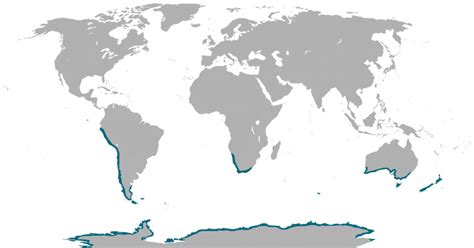 Penguin Habitat Distribution Vivid Maps