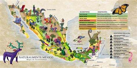Mapa De Biodiversidad De México