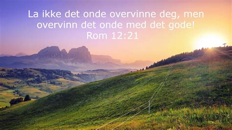 Pionjärpastorn Pionjärpastorn Added A New Photo