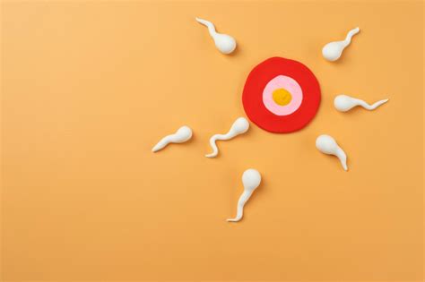 Normal Sperm Count Range Analysis Chart And Pregnancy 56 Off