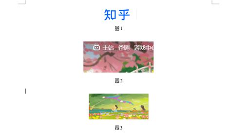 word样式 知乎