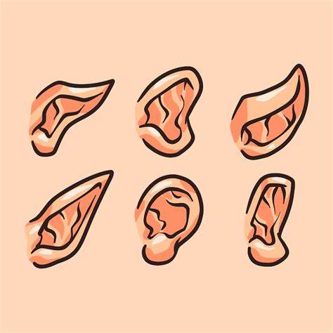 How To Draw Ears Cartoon