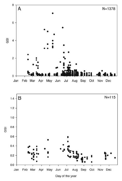 Values Of Gonadosomatic Index GSI For A Female And B Male Red