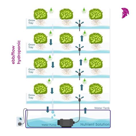 Planting Shelf 5 Tier Maximus Hitec Grow